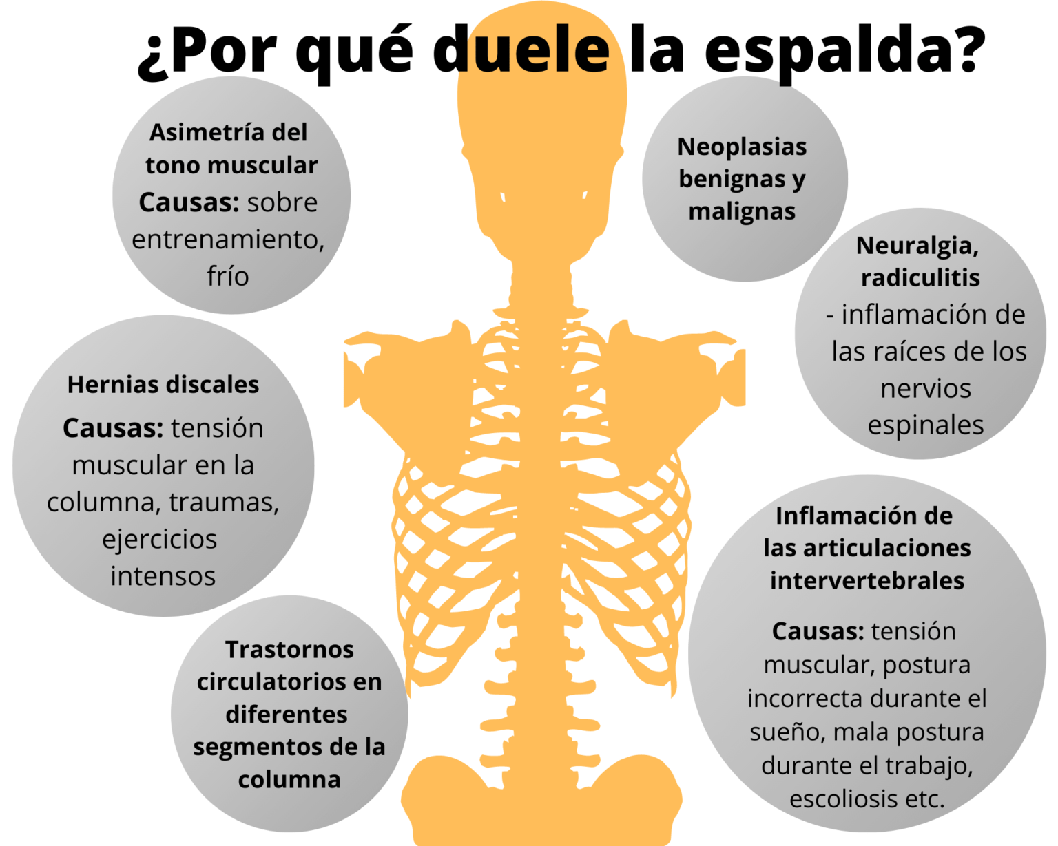 Guía de la salud. ¿De dónde viene el dolor muscular? - Centro ...